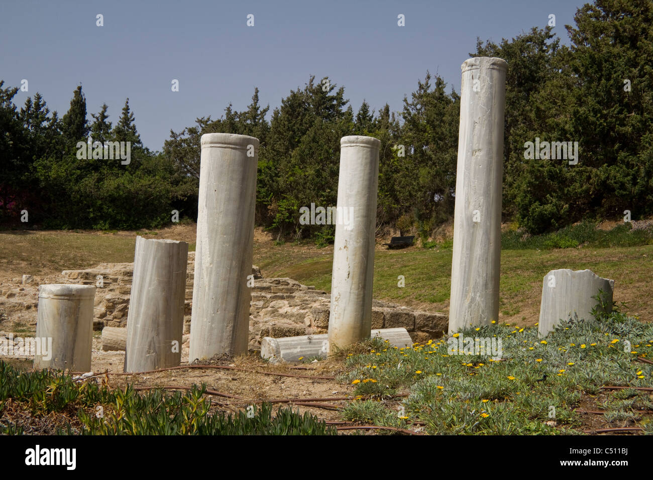 Roman basilica ruins Ashkelon Israel Stock Photo - Alamy