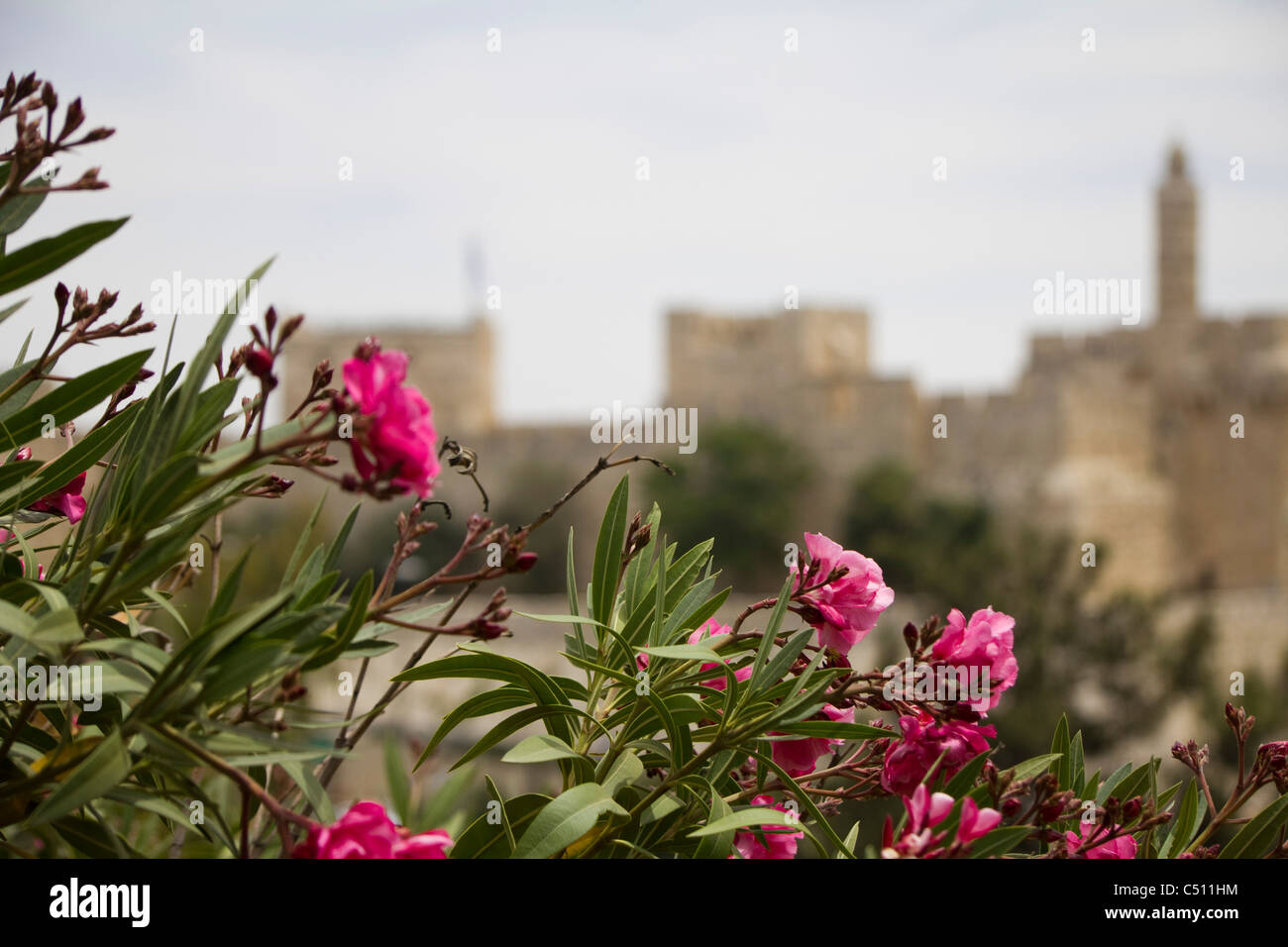 Distant walls of Jerusalem Old City Israel Stock Photo - Alamy
