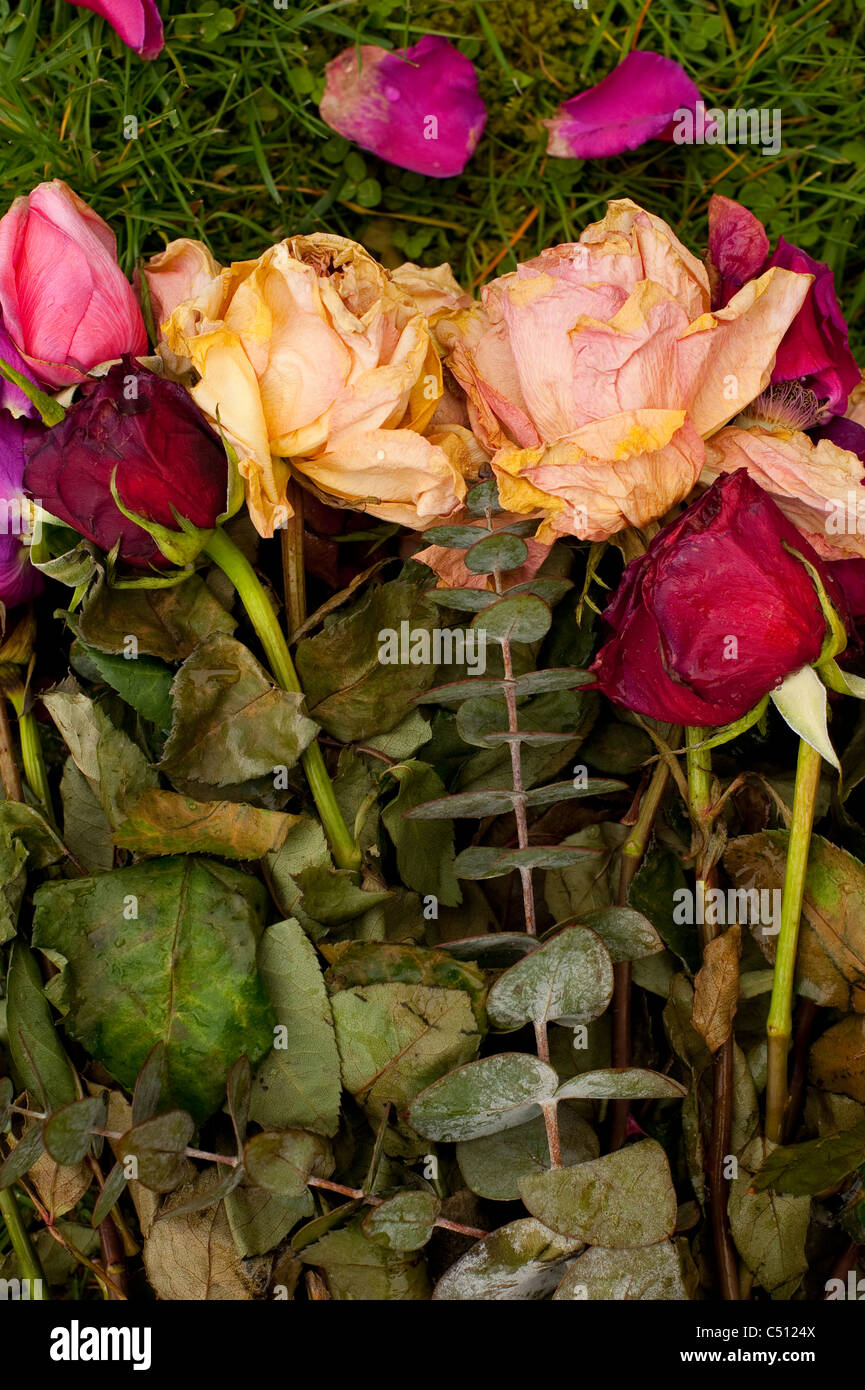 Decaying bouquet of flowers hi-res stock photography and images - Alamy