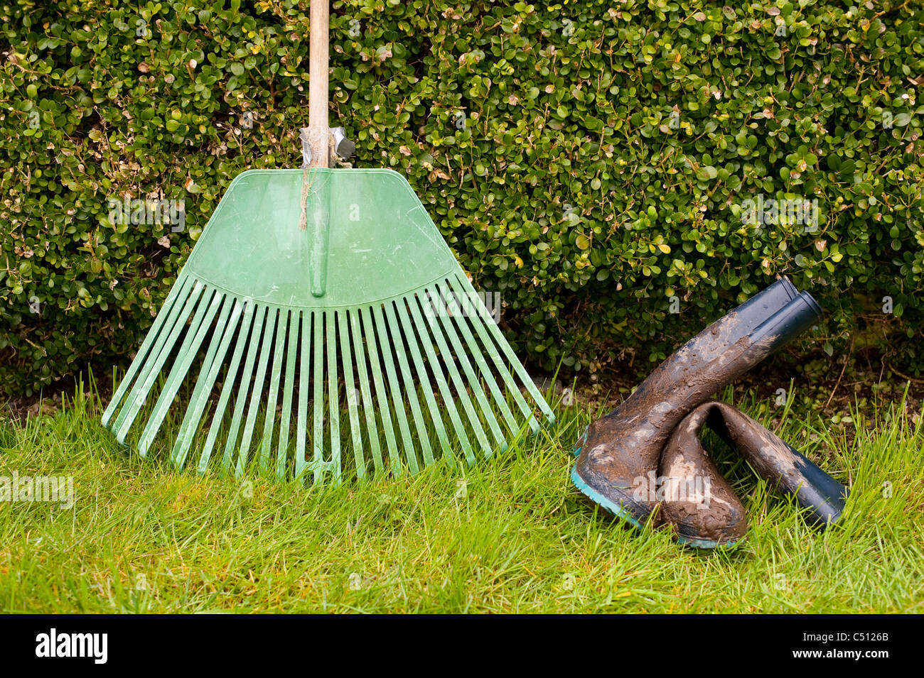 Green rake leaning against green hedge in backyard with muddy boots ...