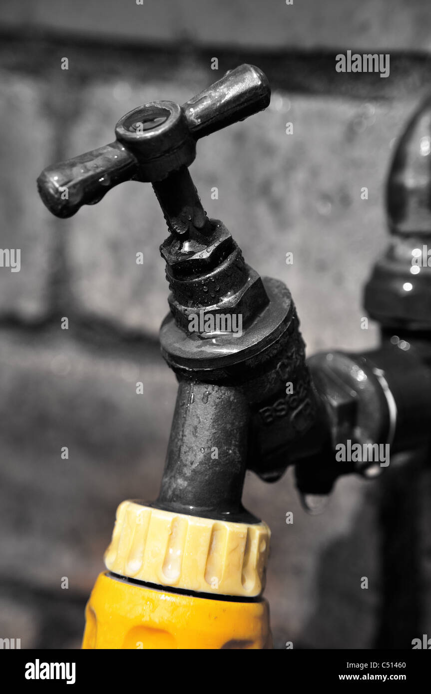 outside tap and hose connector Stock Photo - Alamy
