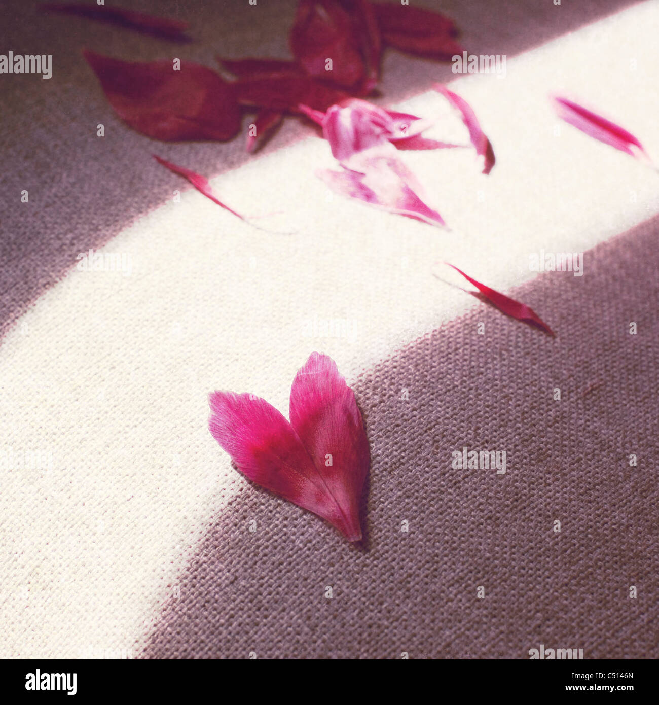 Shaped petal hi-res stock photography and images - Alamy