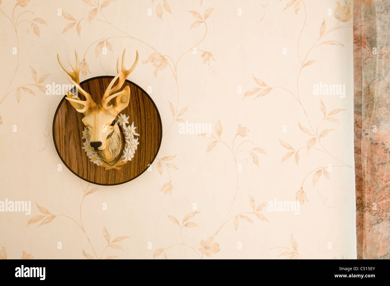 Taxidermy deer heads hi-res stock photography and images - Alamy