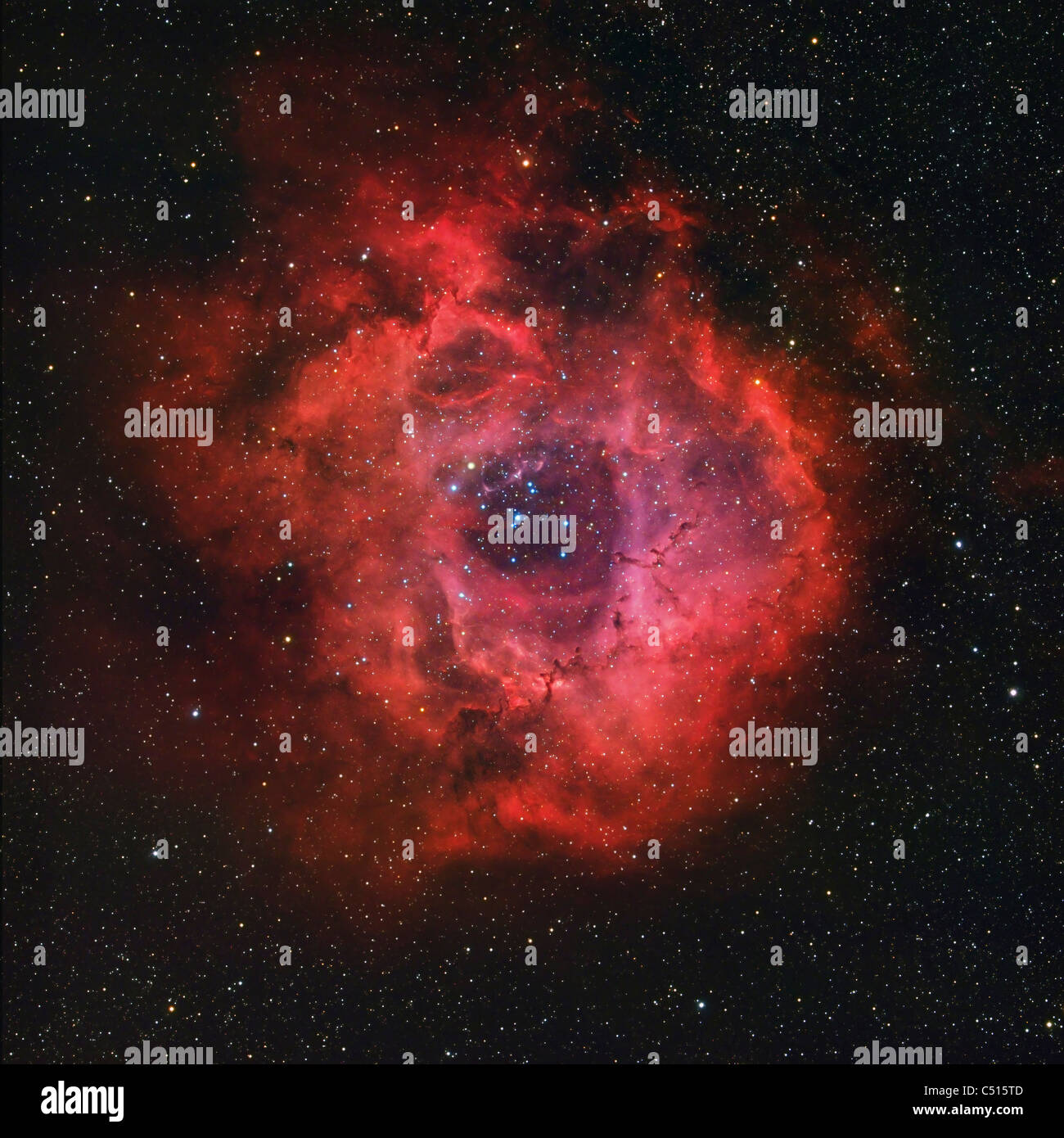 The Rosette Nebula Stock Photo - Alamy