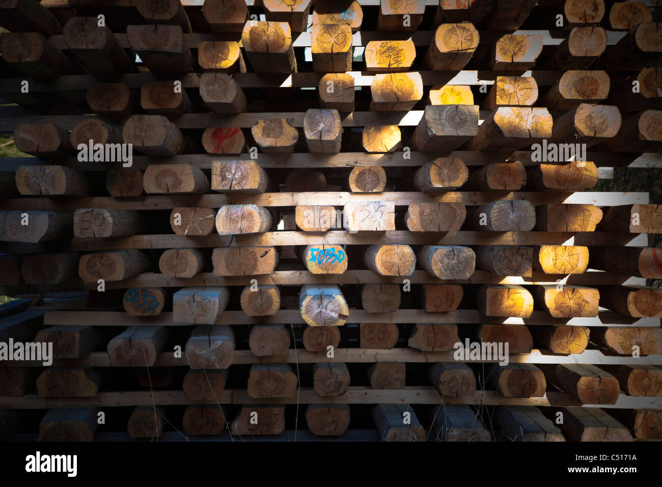 Wooden planks stacked together by a flowing river with forest and ...