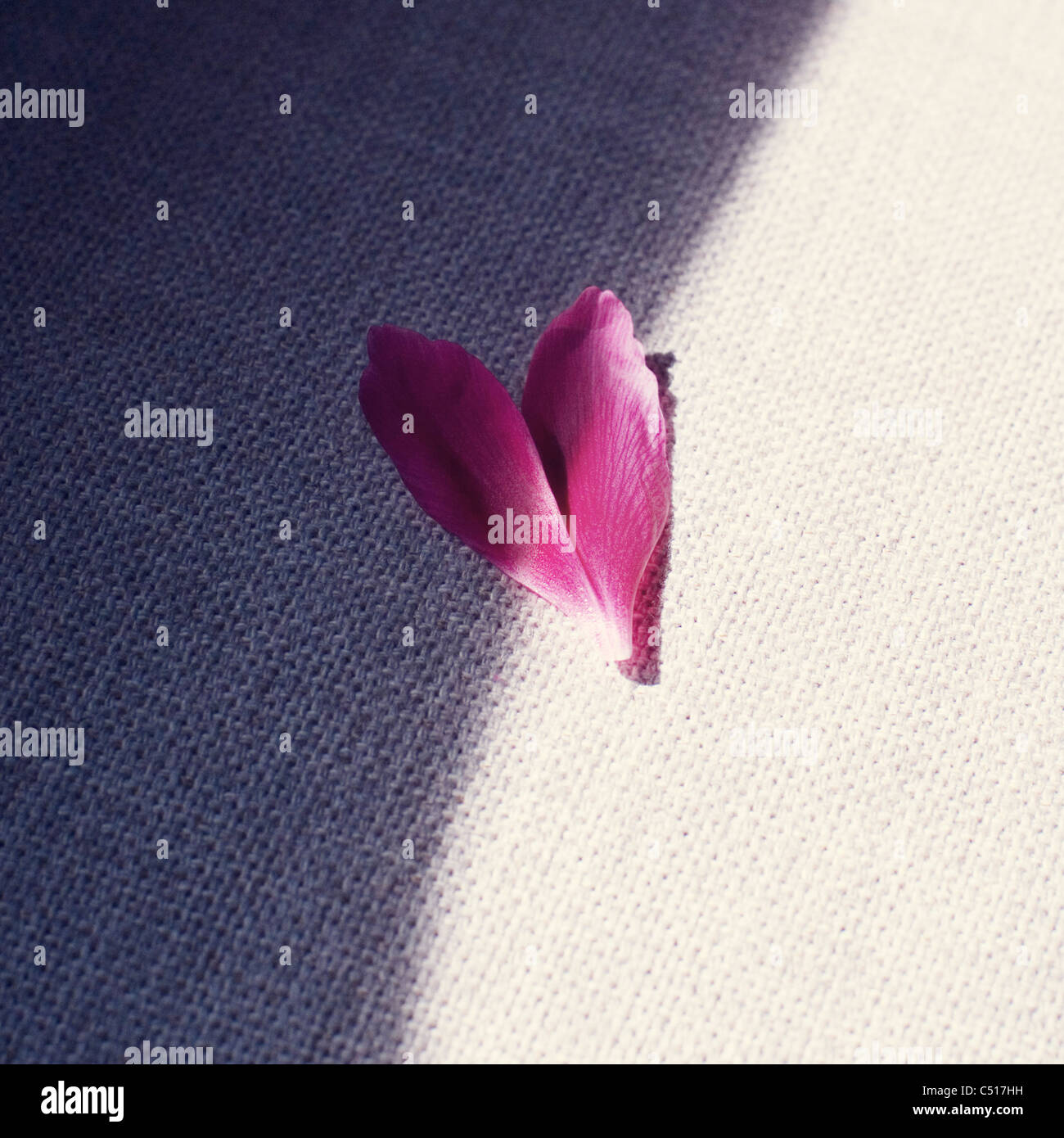 Shaped petal hi-res stock photography and images - Alamy