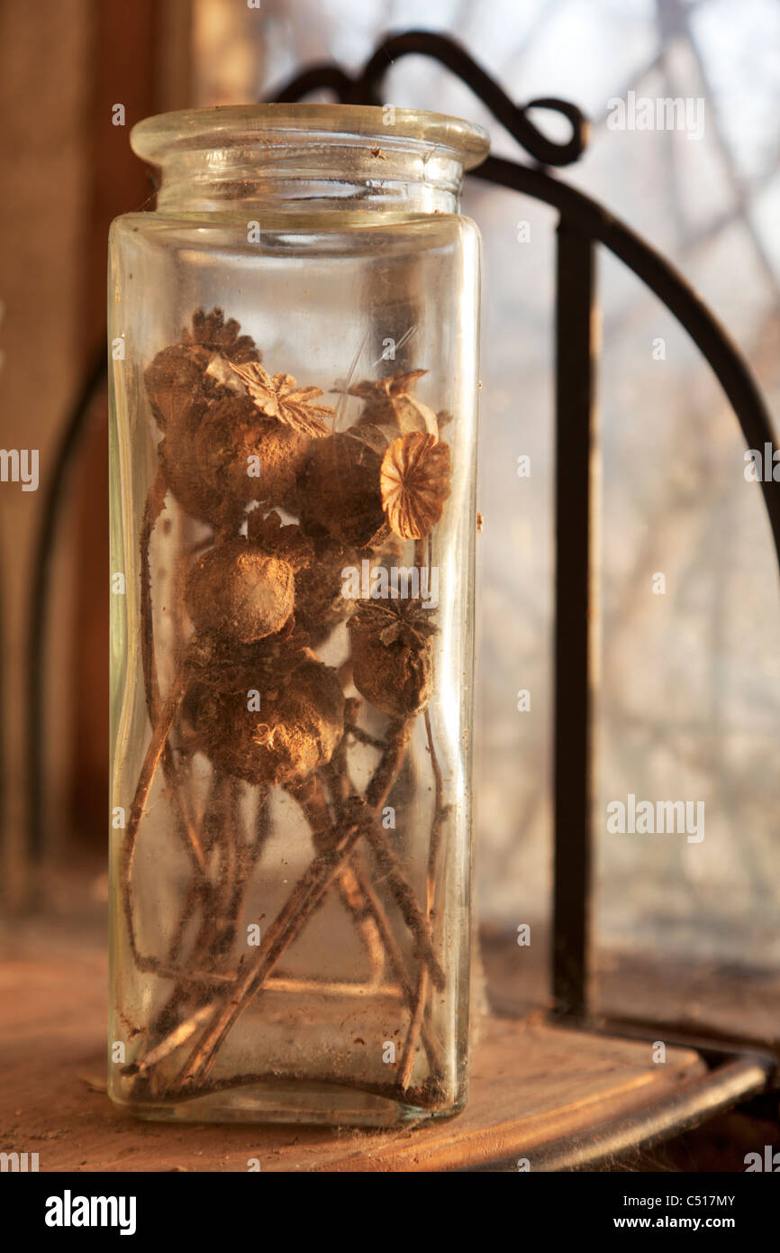 Glass jar with poppy seeds Stock Photo - Alamy