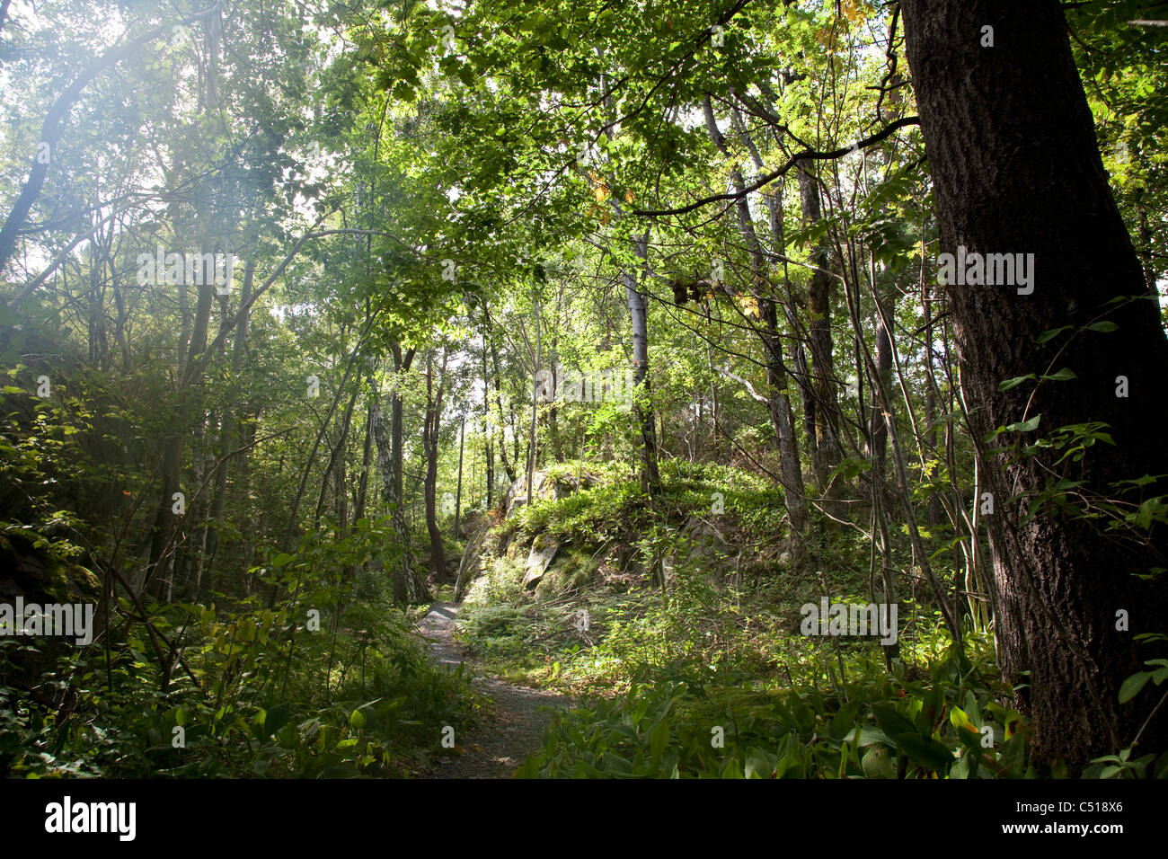 Surrounding with greenery hi-res stock photography and images - Alamy