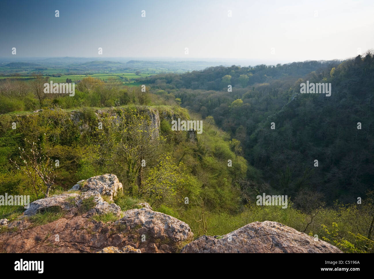 Ebbor Gorge in Spring. The Mendips. Somerset. England. UK Stock Photo ...