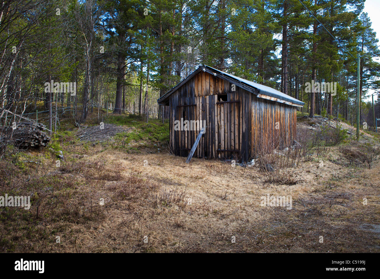 A rural shed on the side of a road surrounded by a forest Stock Photo ...