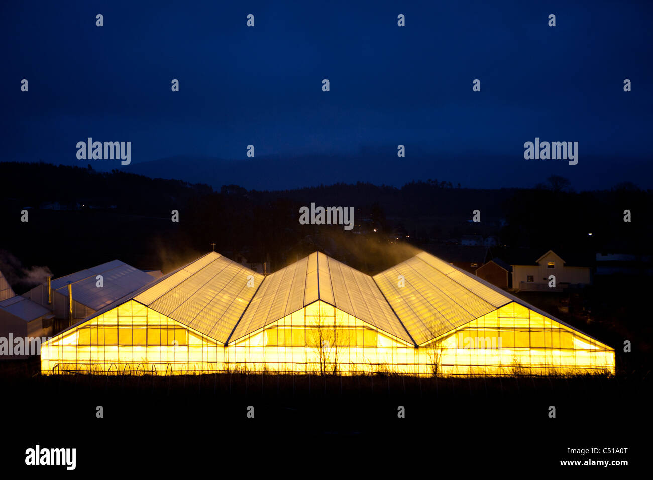 Bright lights glow out from greenhouse with hills in the distant fading ...