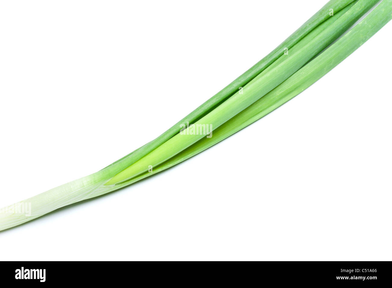 fresh green onions isolated on white background Stock Photo - Alamy
