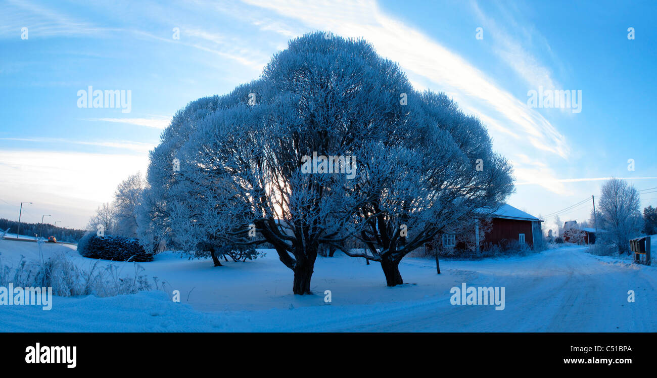 Finland winter landscape hi-res stock photography and images - Alamy