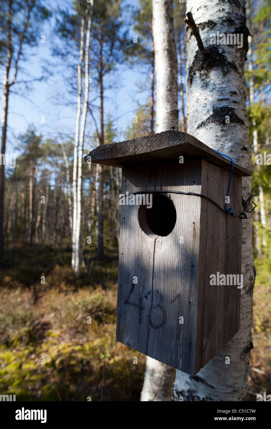 Bird nesting box on birch tree trunk , Finland Stock Photo - Alamy