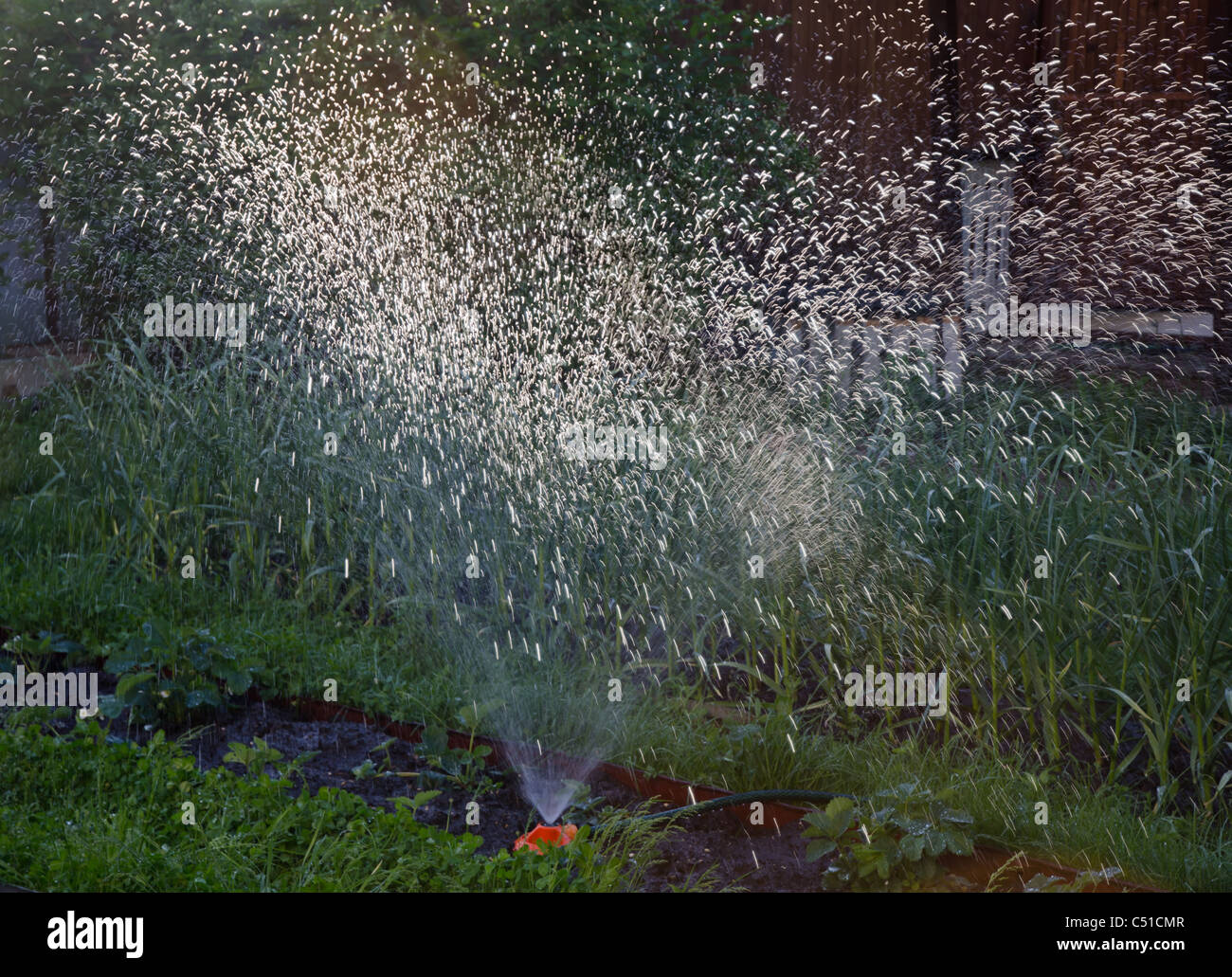 Rain water irrigation garden hi-res stock photography and images - Alamy
