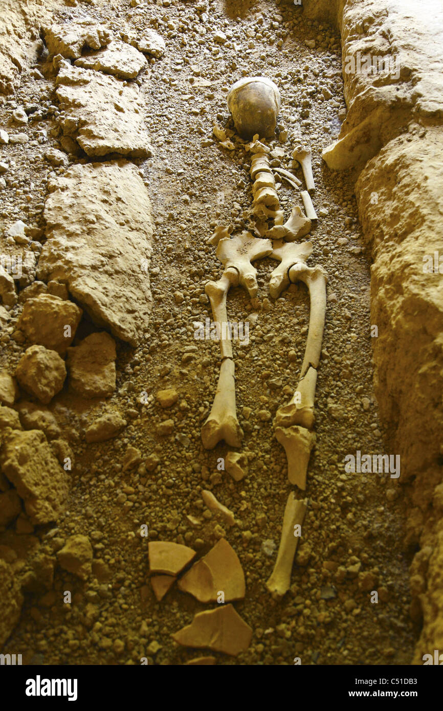 Archaeology skeleton hi-res stock photography and images - Alamy