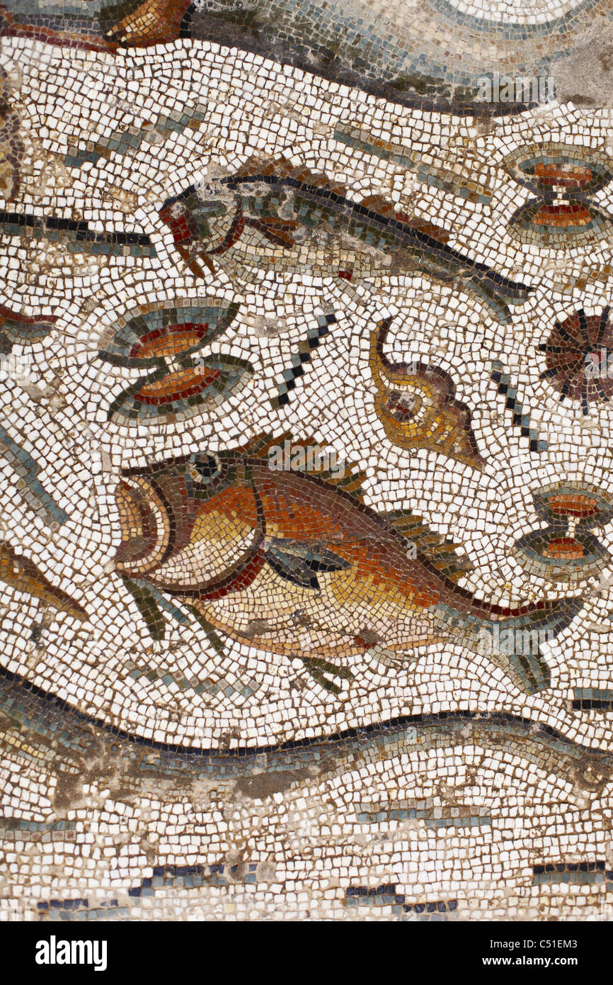 Roman mosaic fish hi-res stock photography and images - Alamy