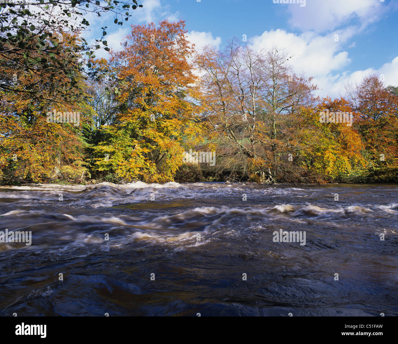 Derwent derbyshire flooded hi-res stock photography and images - Alamy
