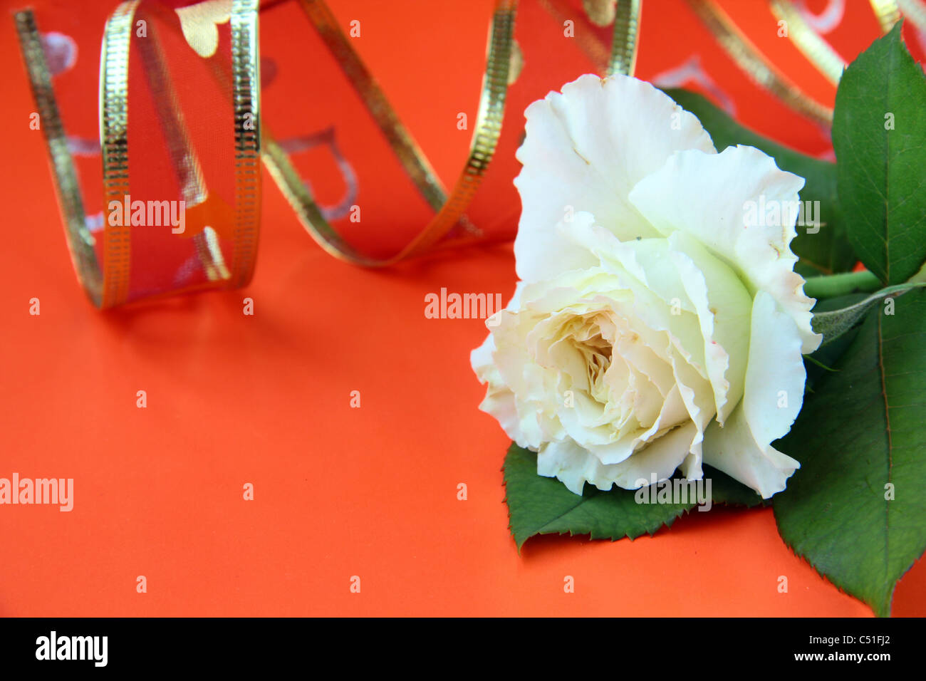 white roses and red ribbon on a red background Stock Photo - Alamy