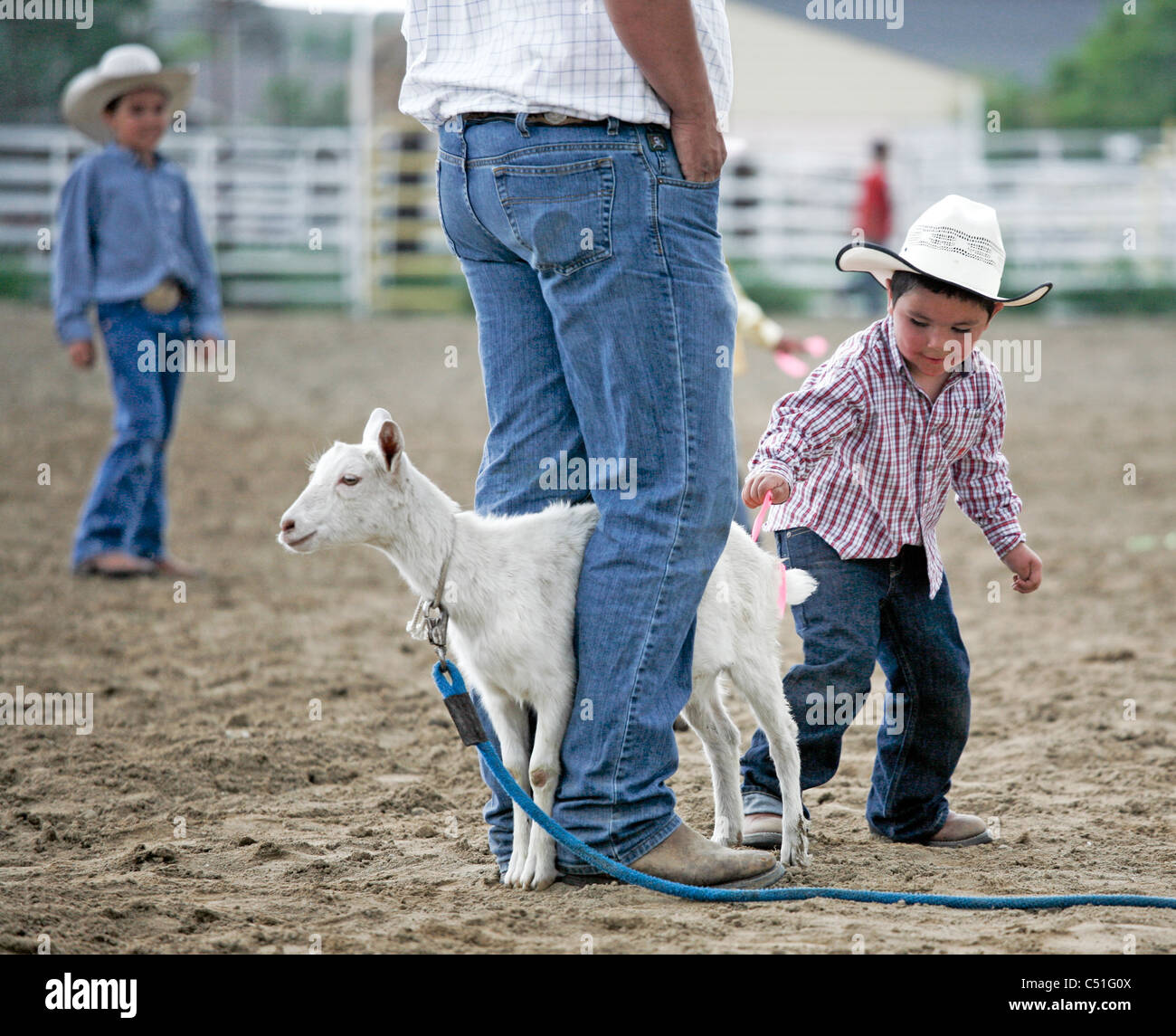 Child playing with goat hi-res stock photography and images - Alamy