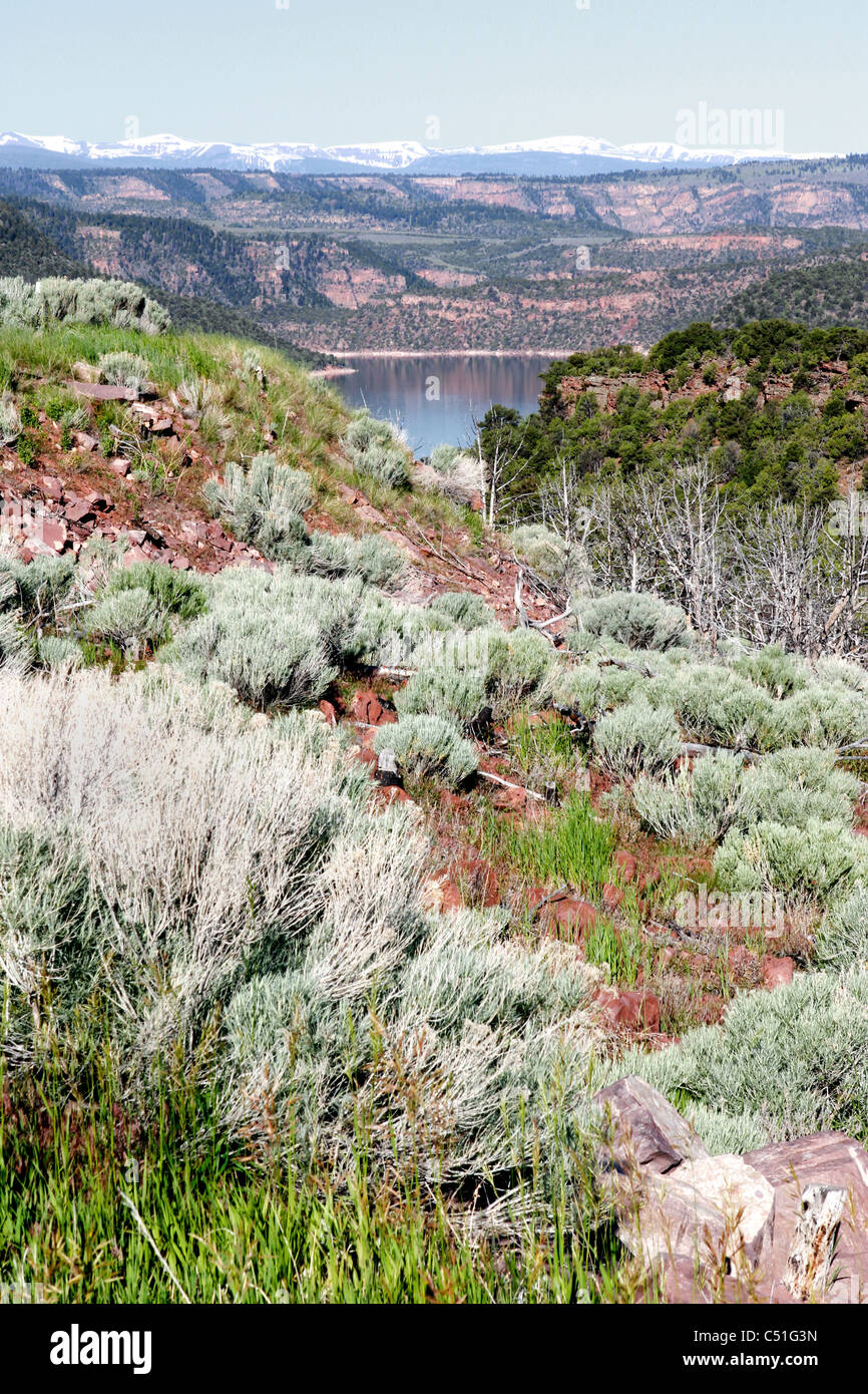 Flaming gorge national recreation area hi-res stock photography and ...