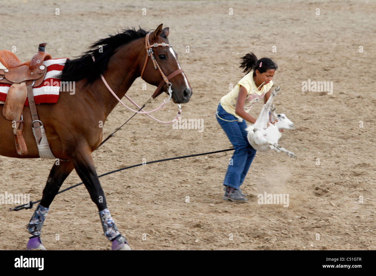 Goat rodeo hi-res stock photography and images - Alamy