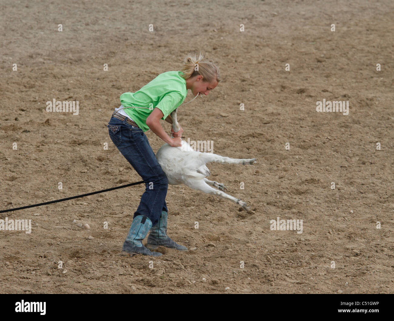 Goat roping contest for children held during the Eastern Shoshone ...
