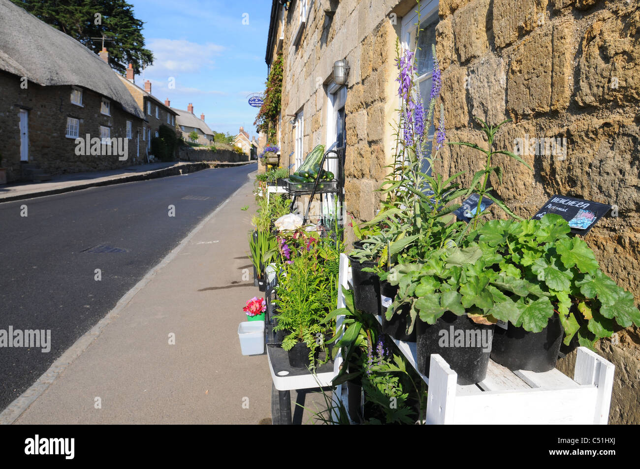 Home produced hi-res stock photography and images - Alamy