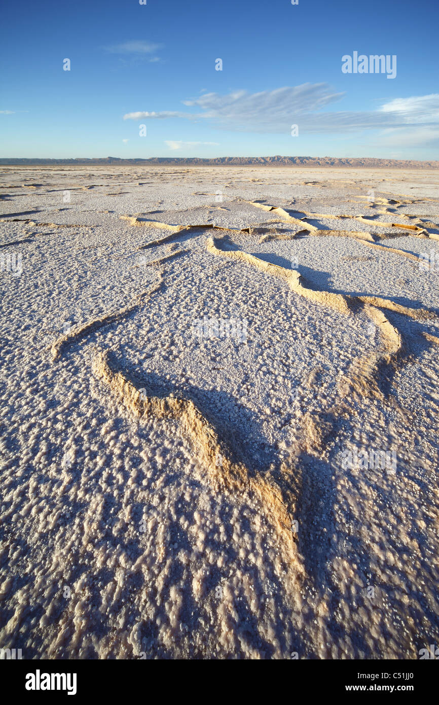 Africa, North Africa, Tunisia, Chott El Jerid, Flat Dry Salt Lake ...