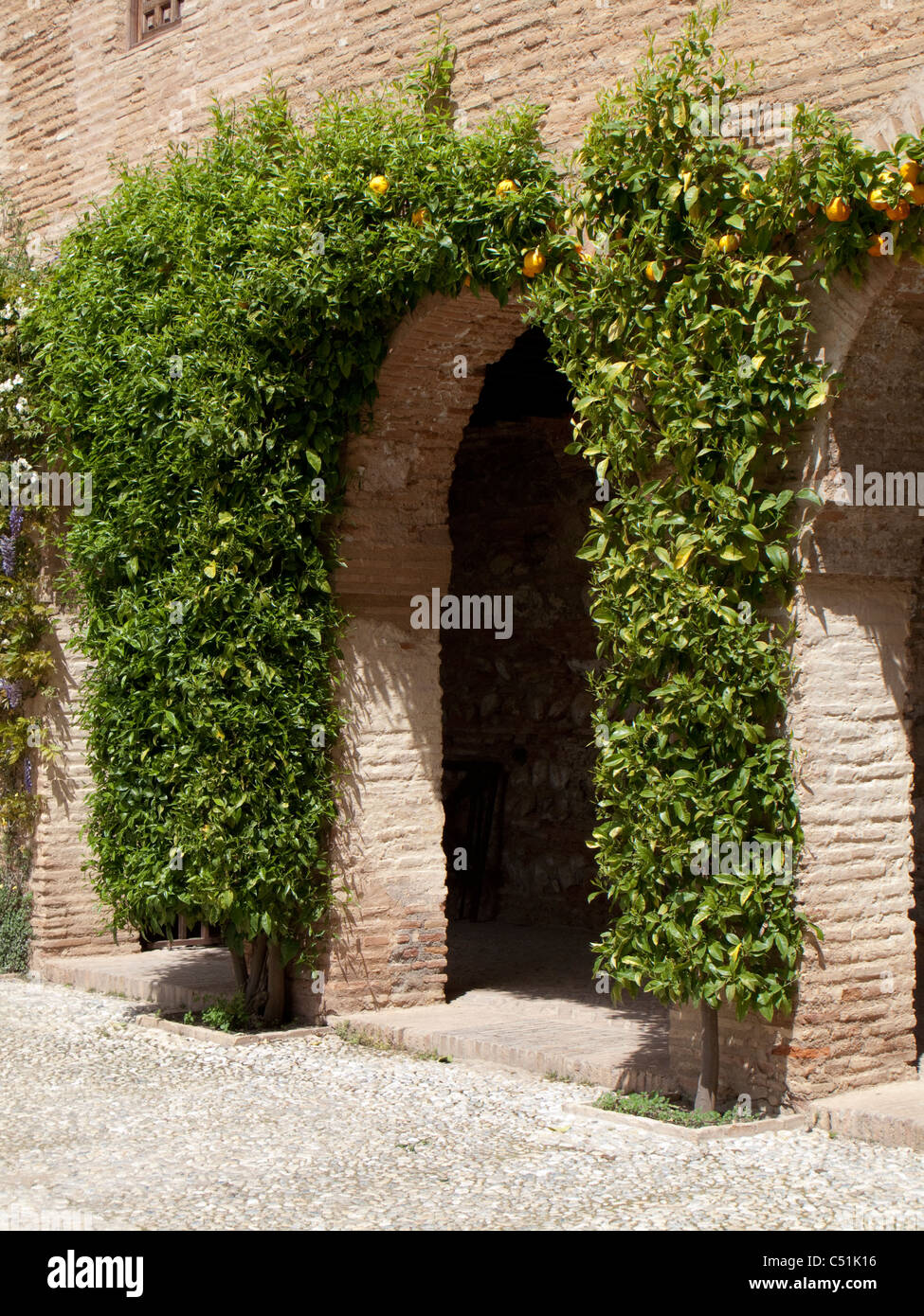 Granada Spain Alhambra Generalife garden ancient arch orange tree Stock ...