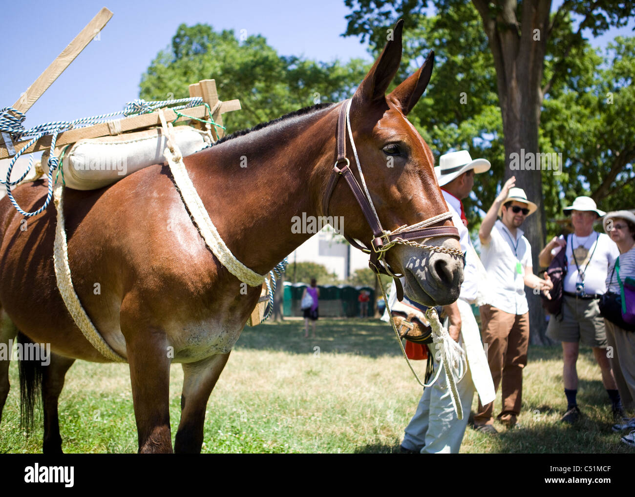 Profile view hi-res stock photography and images - Alamy