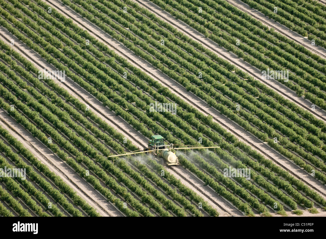 Agricultural Area farming spraying pesticide Stock Photo - Alamy