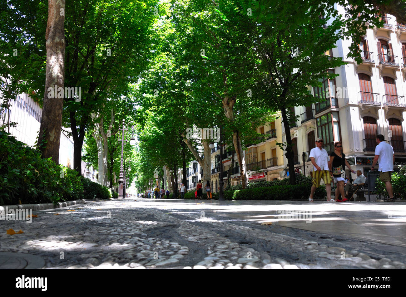 Granada Street Scene Stock Photo - Alamy
