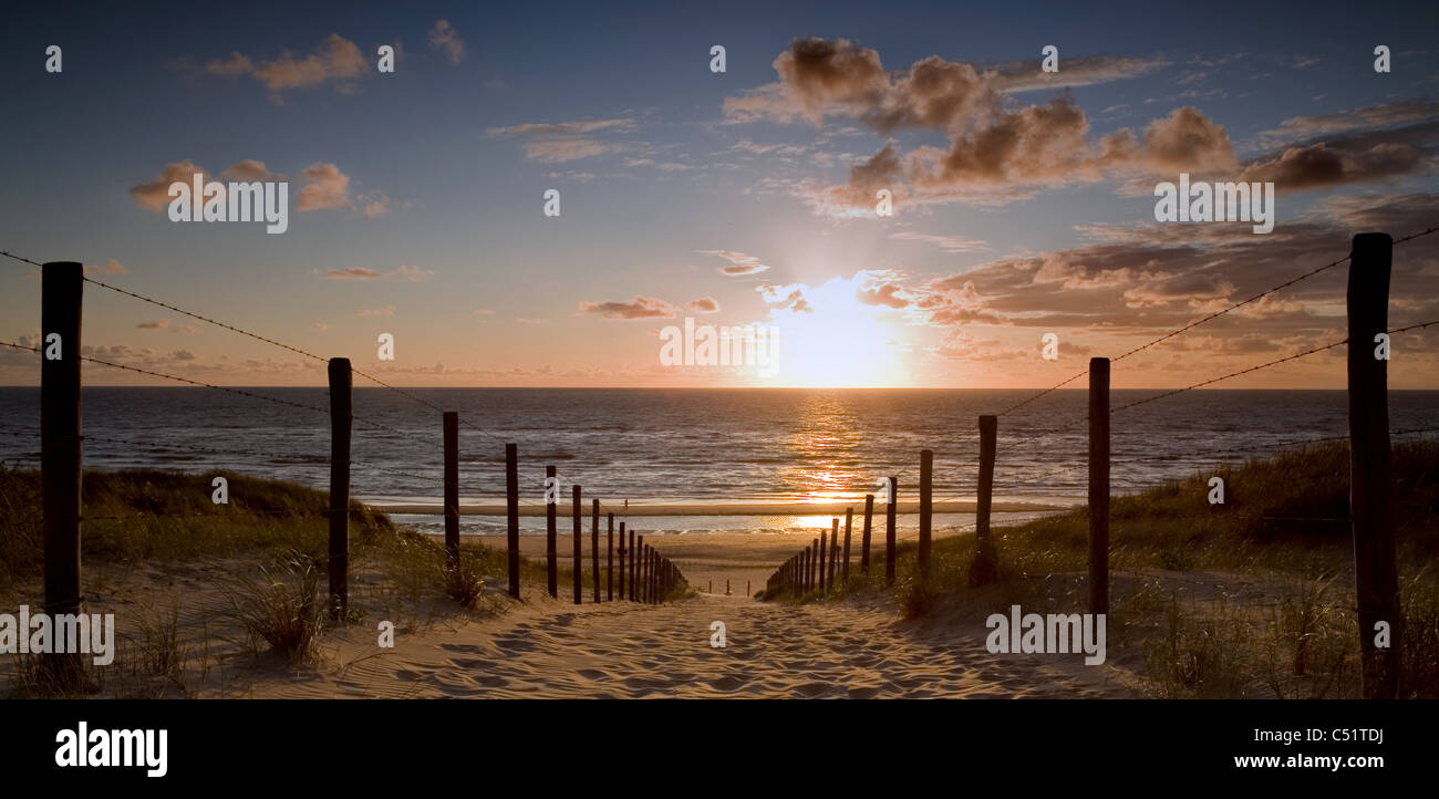 sunset on the dutch coast walking near the sea Stock Photo - Alamy