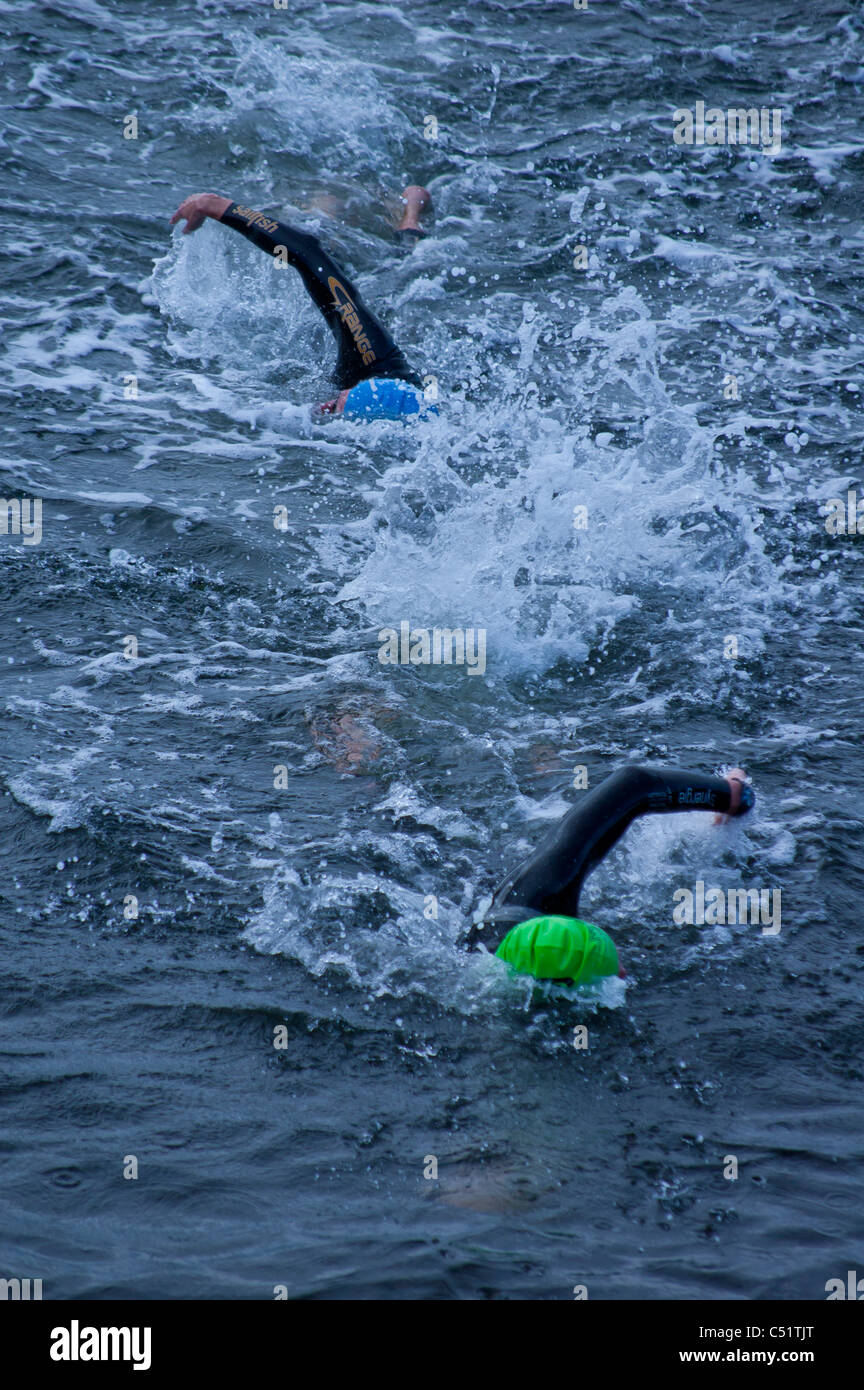 Racing swimmers hi-res stock photography and images - Alamy
