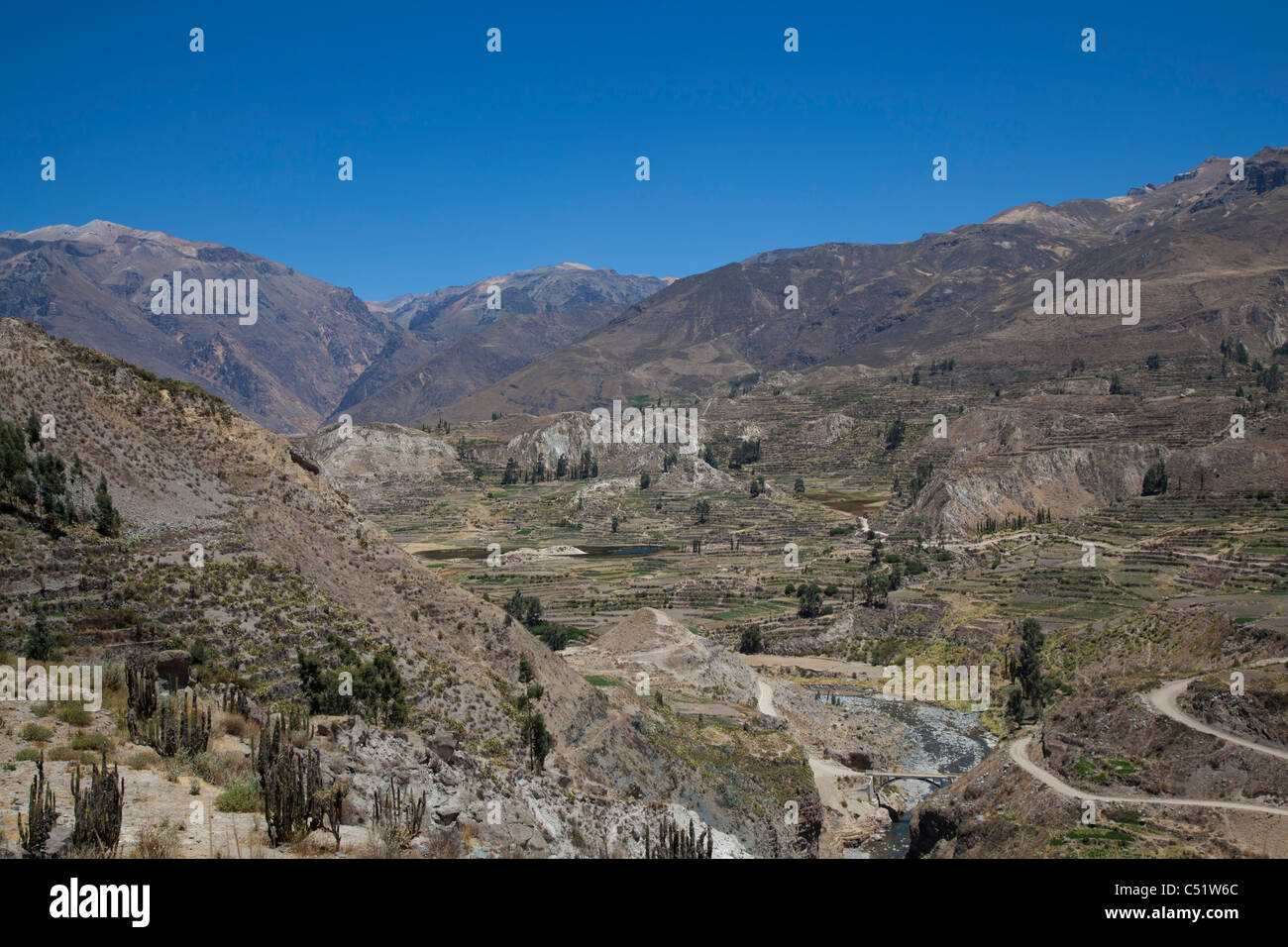 Incan terraces still in use for farming in Colca Canyon, Peru Stock ...