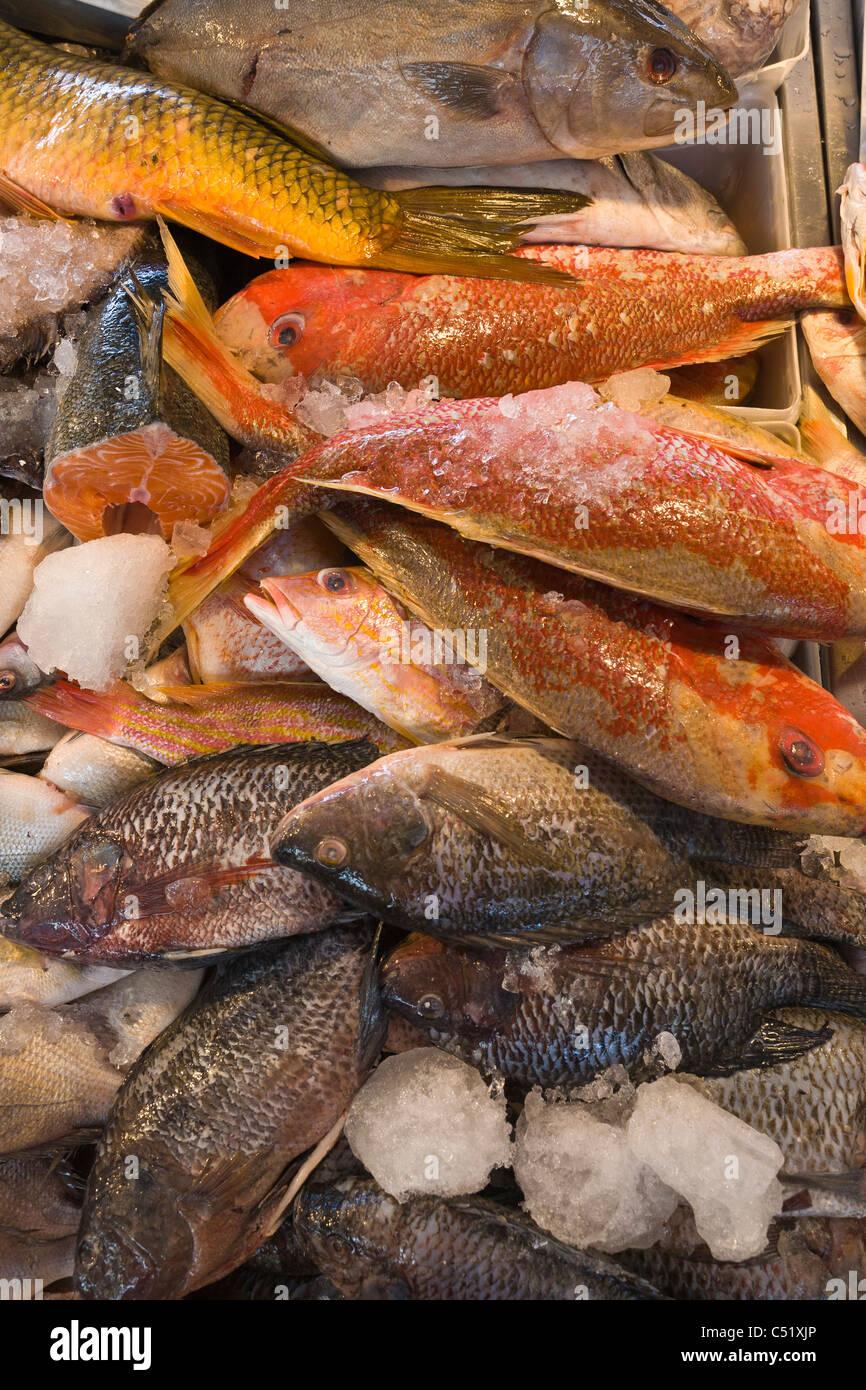 Fresh Fish Market Rochester Ny at James Velarde blog