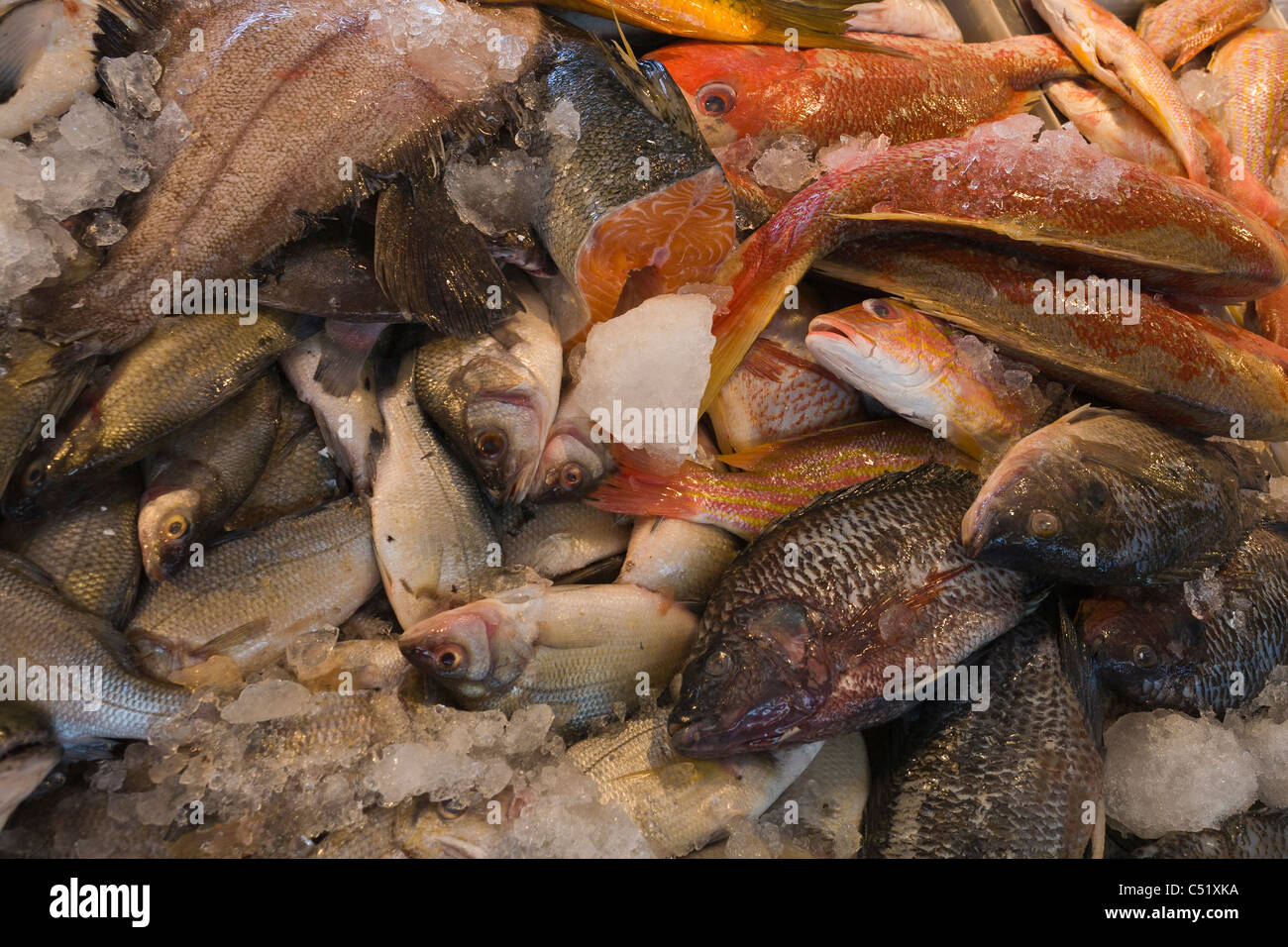 New fish market hi-res stock photography and images - Alamy