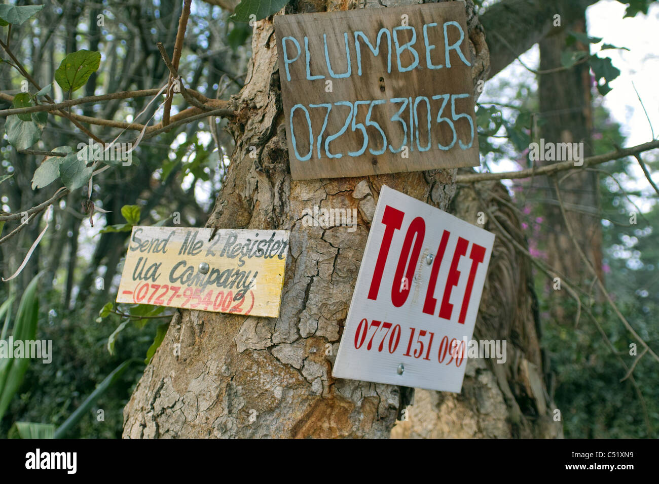 Utility signs advertising services, nailed to a tree Stock Photo - Alamy