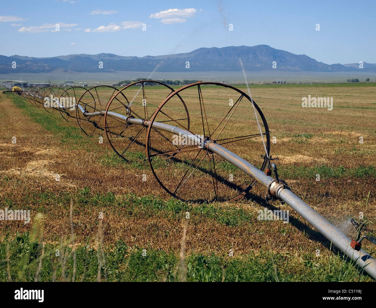 A wheel line irrigates a hay field Stock Photo - Alamy