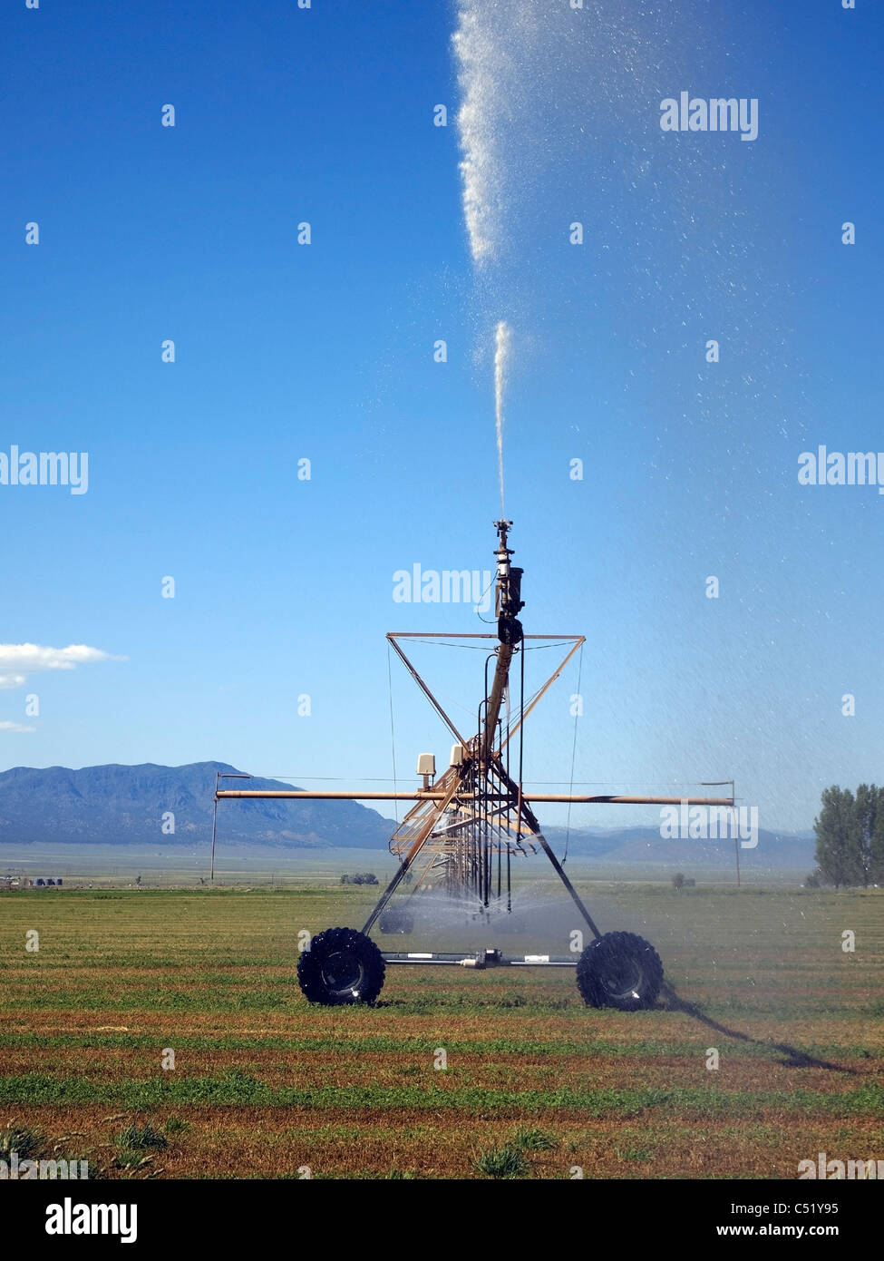 An irrigation pivot provides water to a hay field Stock Photo - Alamy