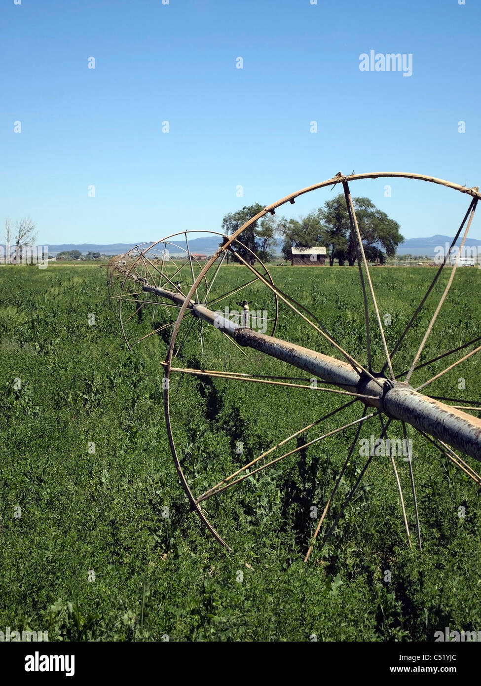 Lateral Move (side Roll, Wheel Line) Irrigation