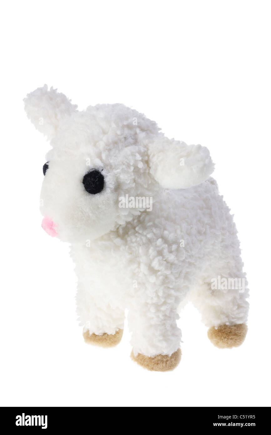 Sheep cute lamb farm Cut Out Stock Images & Pictures - Alamy