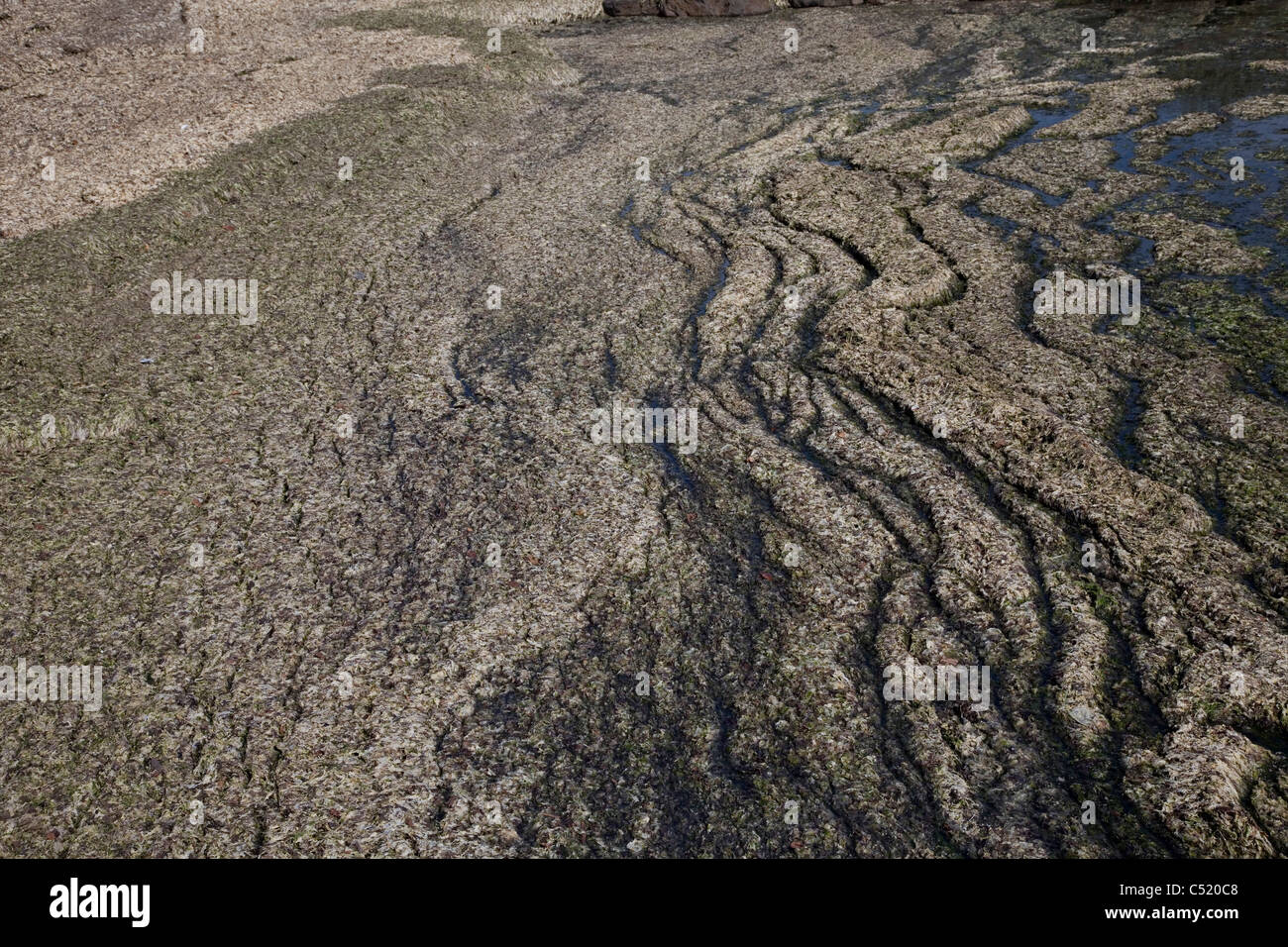 Polluted sand hi-res stock photography and images - Alamy