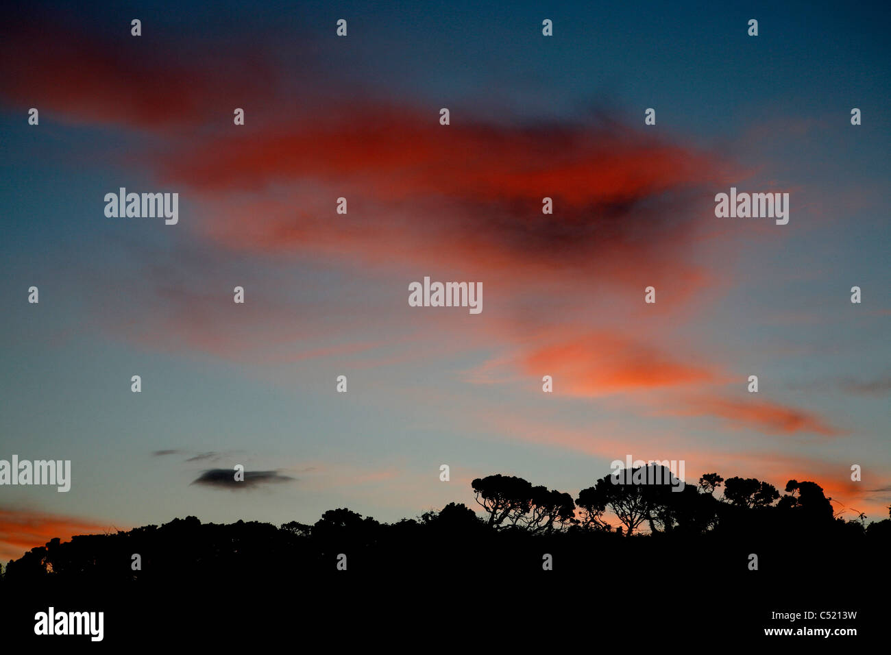 Isle of man night sky hi-res stock photography and images - Alamy