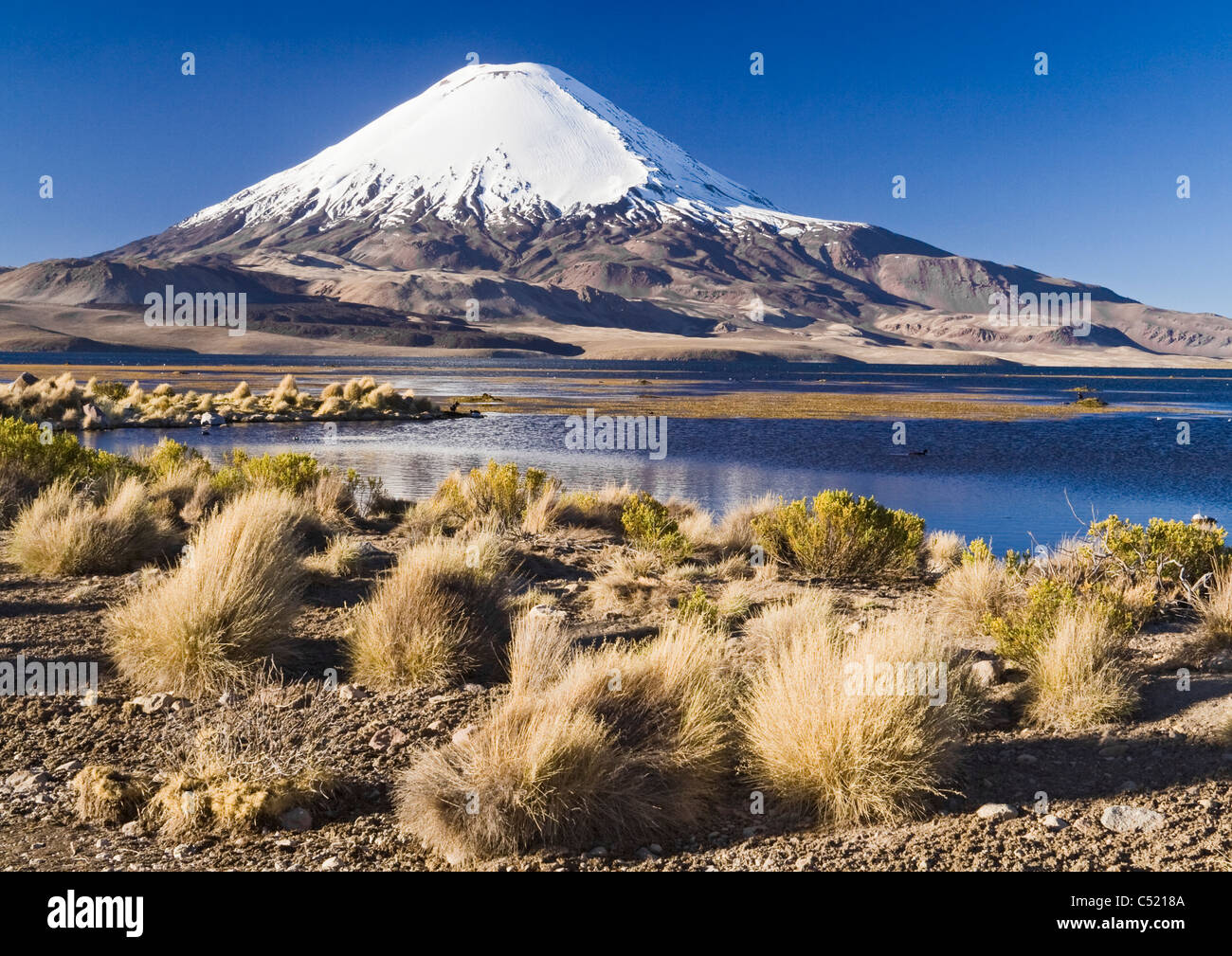 Parinacota Volcano and Lago Chungara, Lauca National Park, Altiplano ...