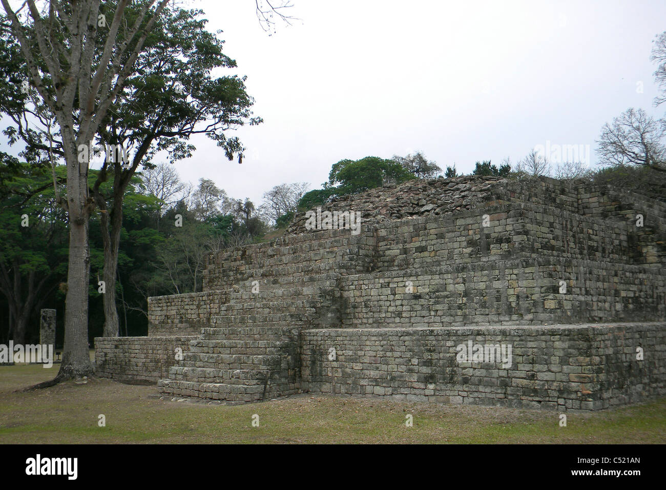 Copan ruins, Honduras Stock Photo - Alamy