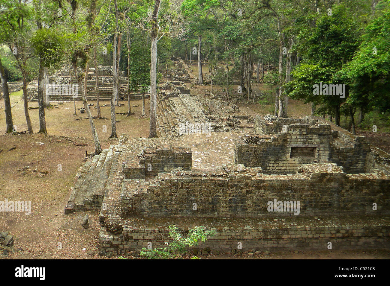 Copan ruins, Honduras Stock Photo - Alamy