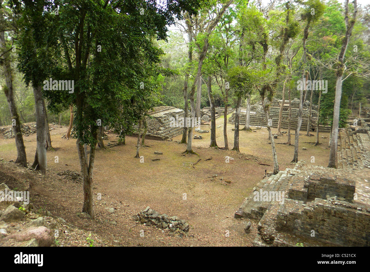 Copan ruins, Honduras Stock Photo - Alamy