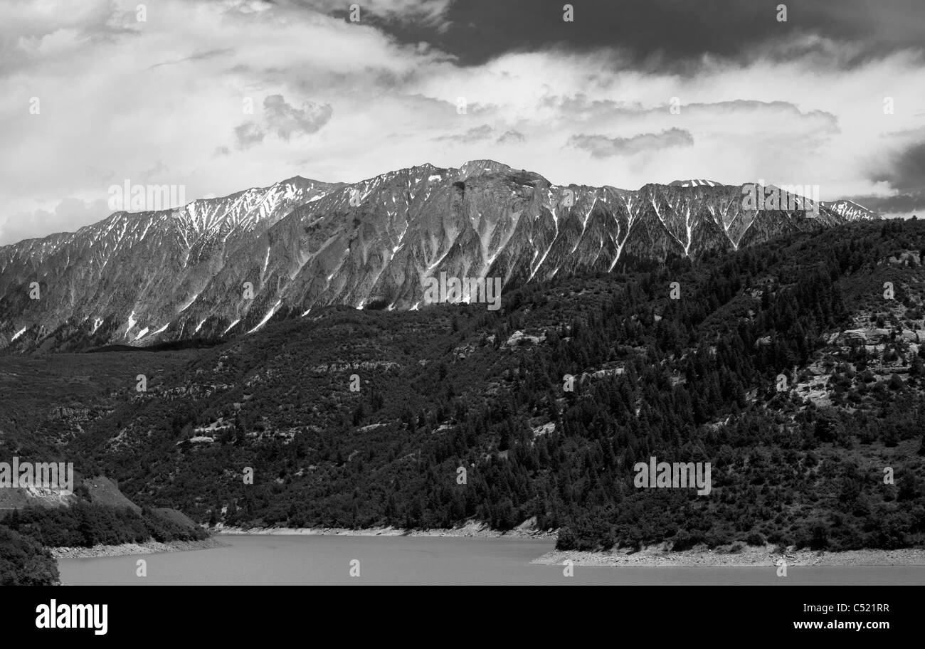 Paonia hi-res stock photography and images - Alamy